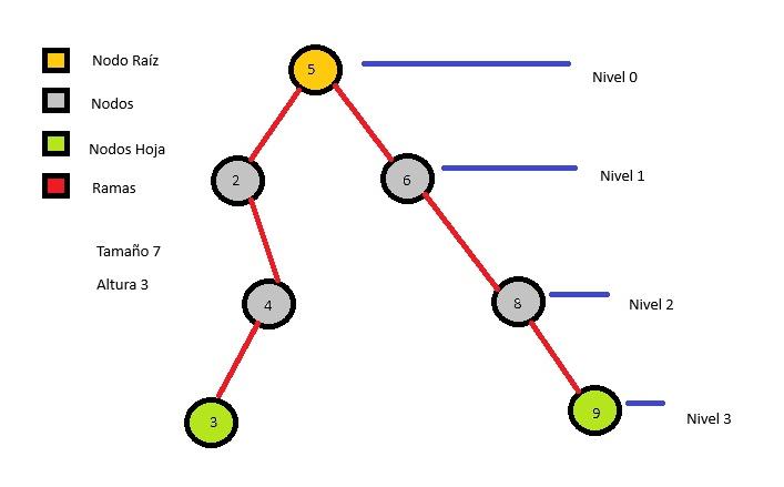 Ejemplos De Árboles Binarios De Búsqueda Para Entender Su Funcionamiento